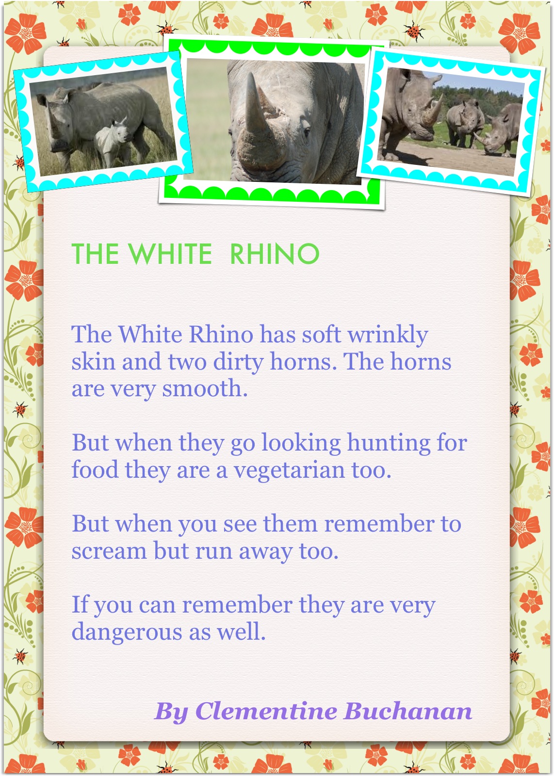 Ms Loo's Blog: Endangered Animal Poems